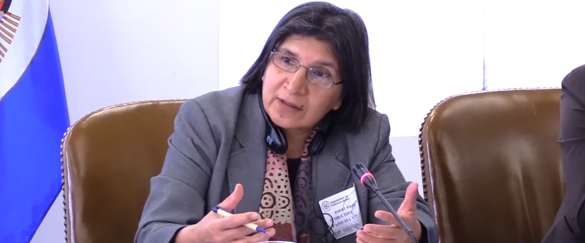 Video: Incontro con Rashida Manjoo - ADV-Project